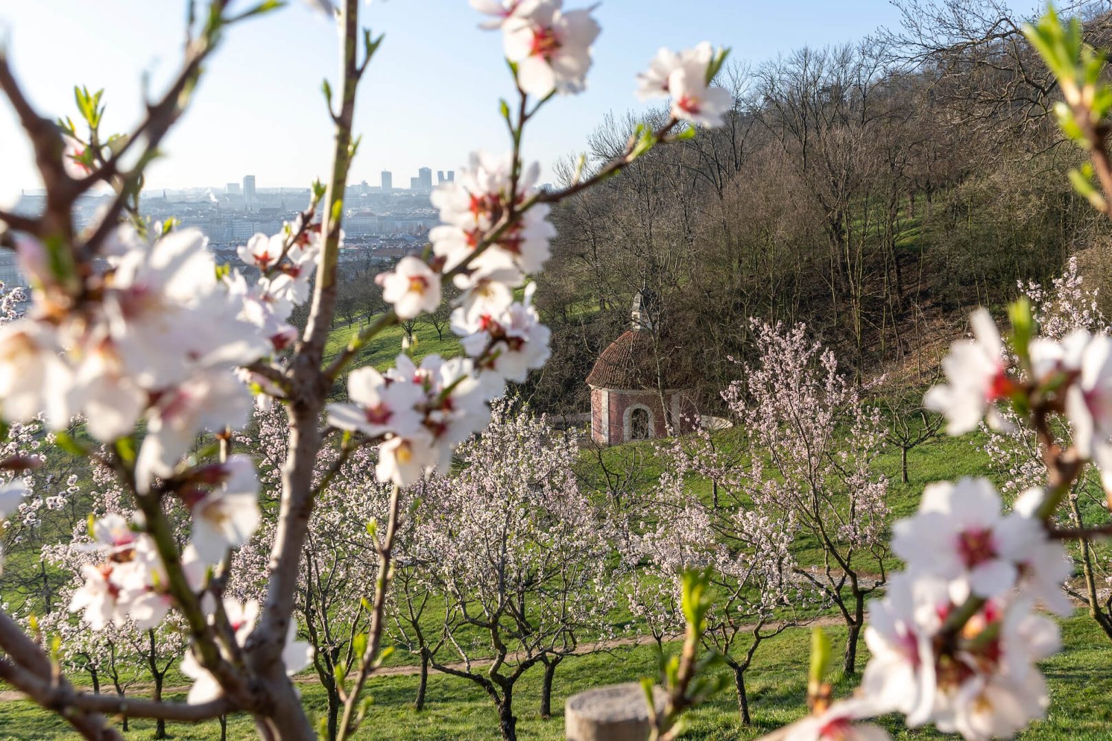 How to Spend the Perfect Spring in Prague 2026 | Prague Views