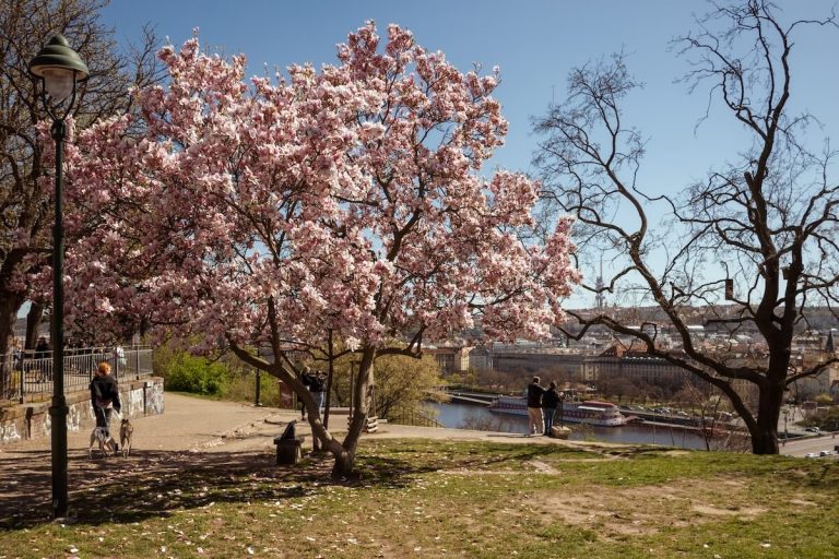 How to Spend the Perfect Spring in Prague 2026 | Prague Views
