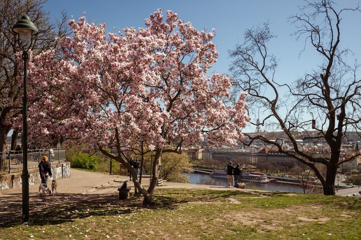 How to Spend the Perfect Spring in Prague 2025 | Prague Views