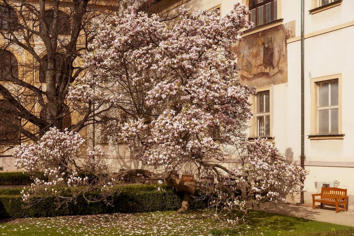 How to Spend the Perfect Spring in Prague 2026 | Prague Views